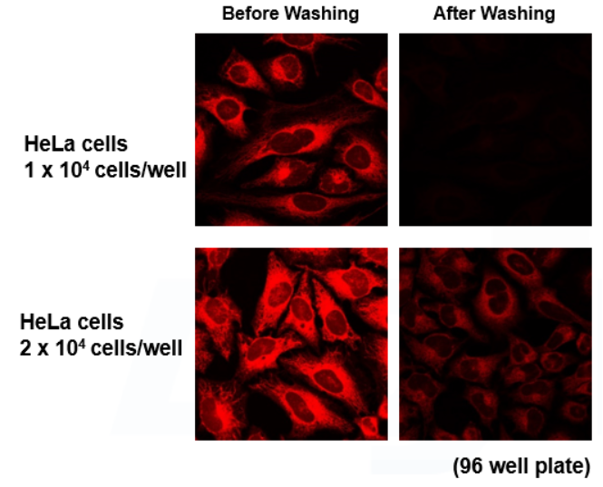 二价铁离子检测探针—FerroOrange货号：F374 | 日本同仁化学 DOJINDO代理商